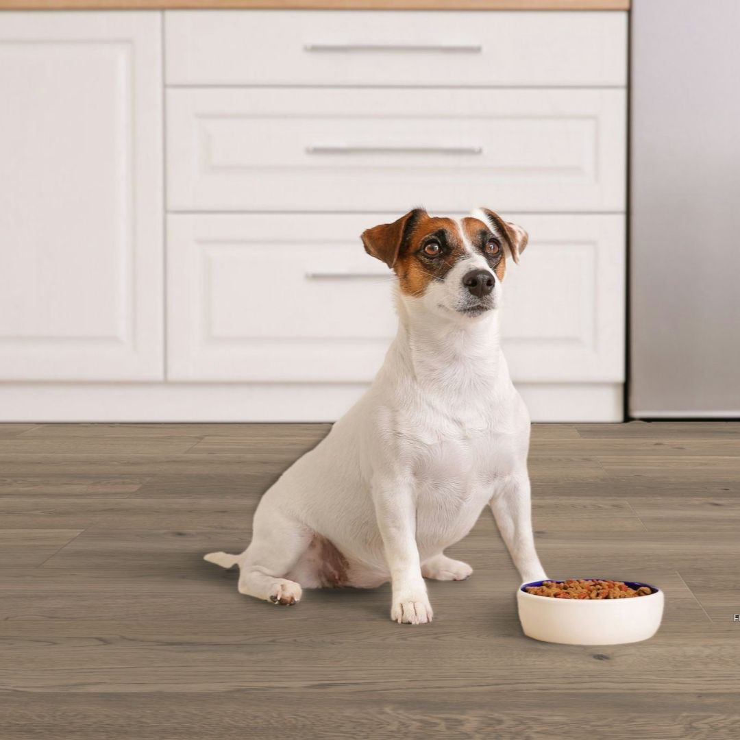 Most Durable Tiles for High-Traffic Kiwi Homes - Kids, Pets, and Wet ...